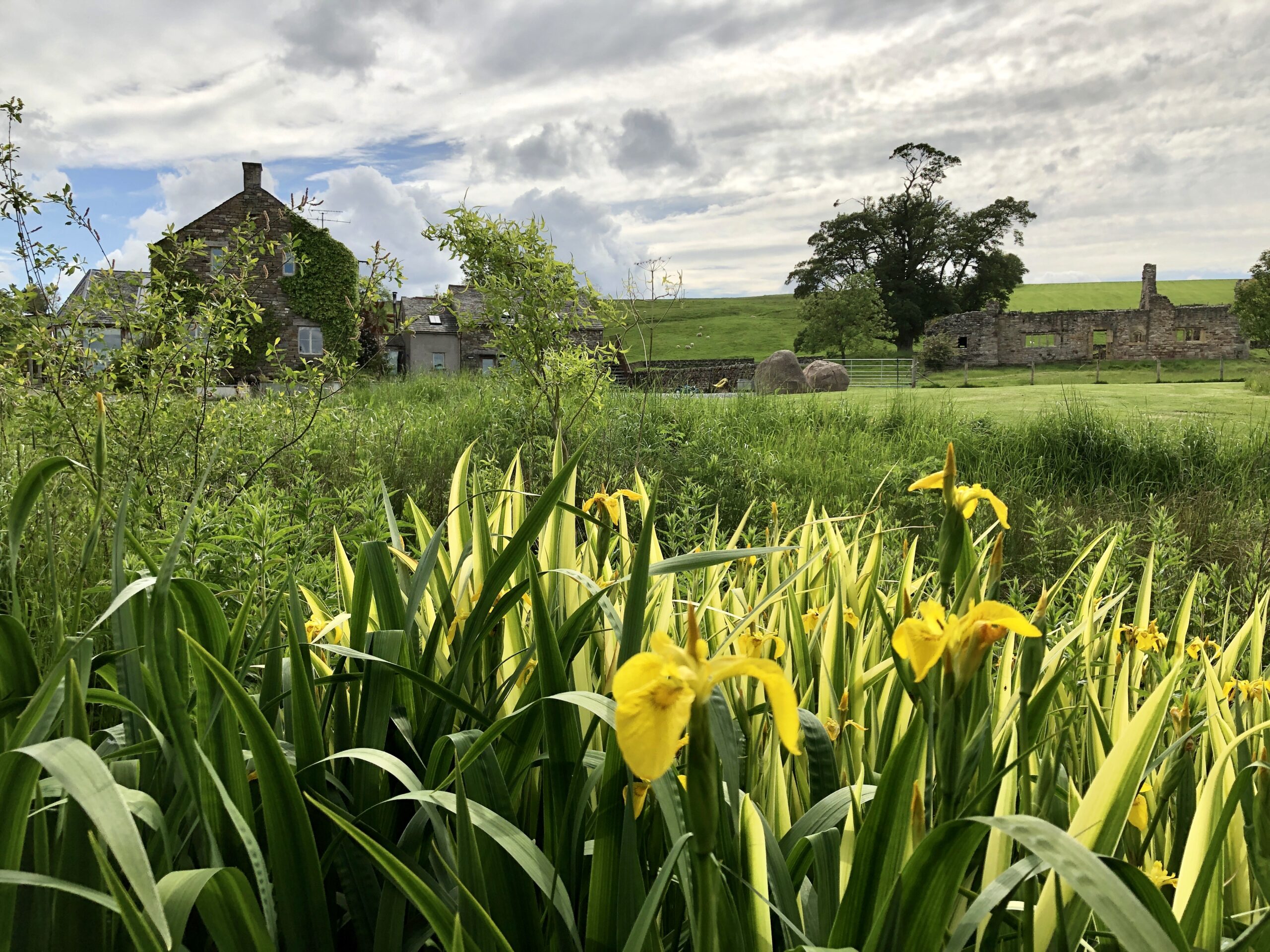About Us - Craketrees Manor Farm